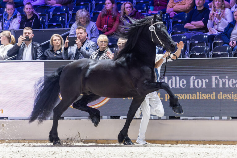 Stal de Weidhoeve – Handel, Beleren, Corrigeren